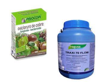 Ecological copper oxychloride 50 and 70, wettable as a fungicide