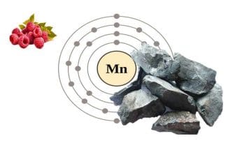 Manganese: properties of the trace element in foods and supplements