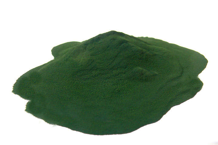 Chlorella alga: beneficios y contraindicaciones