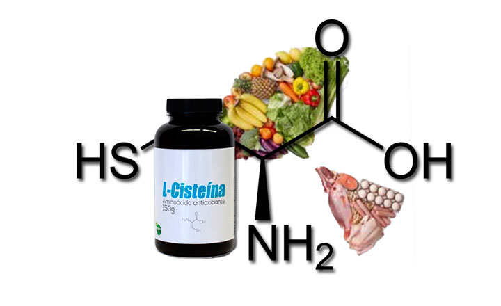 Propiedades de Cisteína, alimentos y beneficios antioxidantes para el pelo
