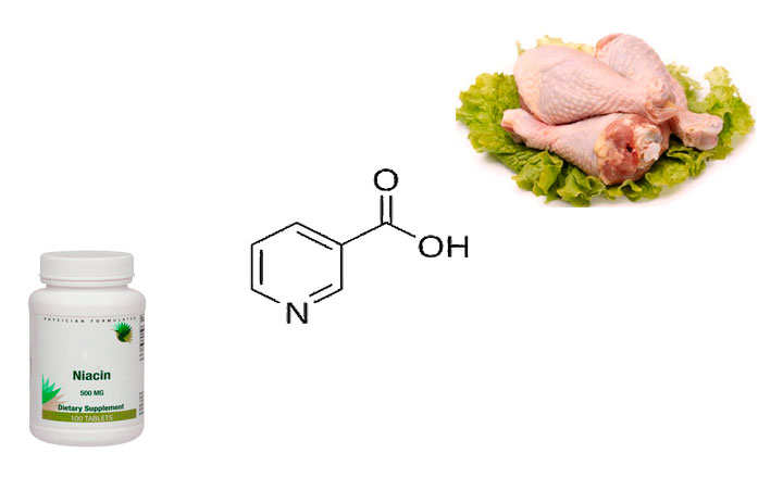 Niacina, que es, alimentos y propiedades de esta vitamina B3
